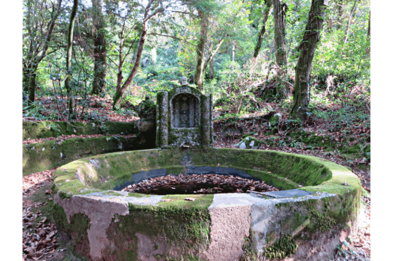 What Does Hidden Gem Mean? What Makes One, and How to Find Them – Slow ...